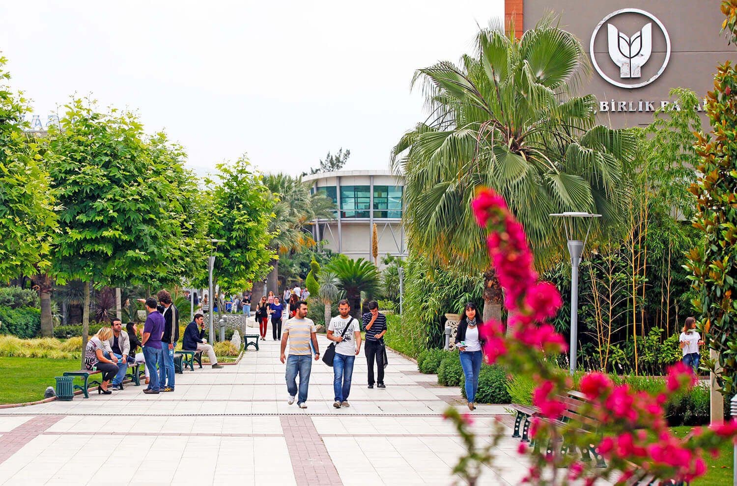 Yasar University Programs - Ranking & Tuition Fees