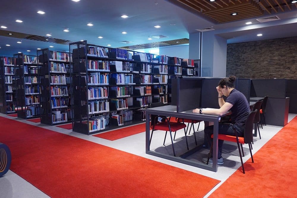 Altinbas University Tuition Fees - Ranking & Programs